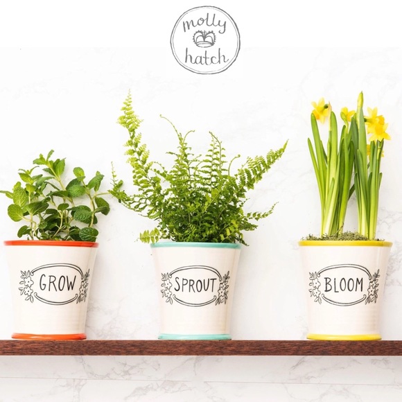 Molly Hatch | Accents | Molly Hatch Bloom Flower Pot | Poshmark